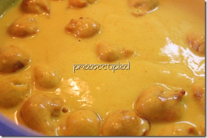 PreeOccupied: A Comfort Food Called Kadhi